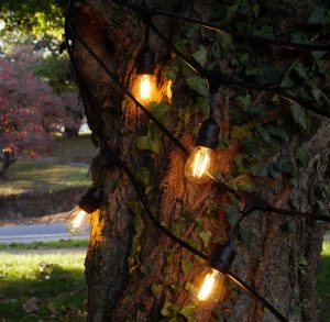 S14 Double LED Filament E26 Commercial String Light Sets Sets with ...