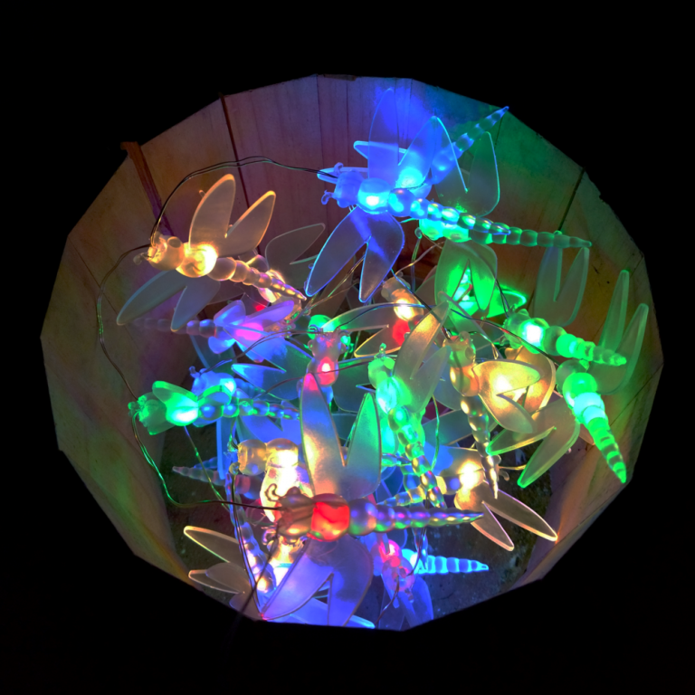 Solar Powered Dragonfly String Lights - 100 LED Multi Colored, 8 Modes ...