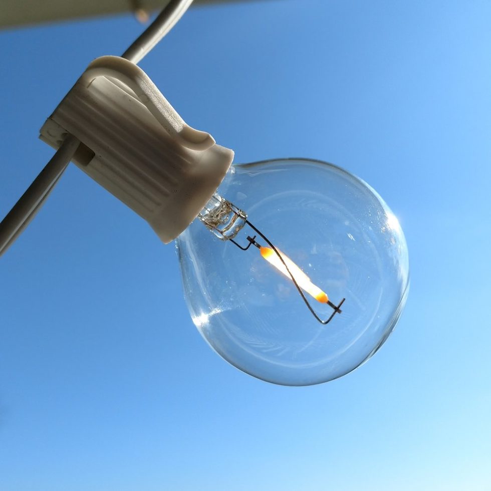 G50 Filament Globe String Lights LED Set with White Wire