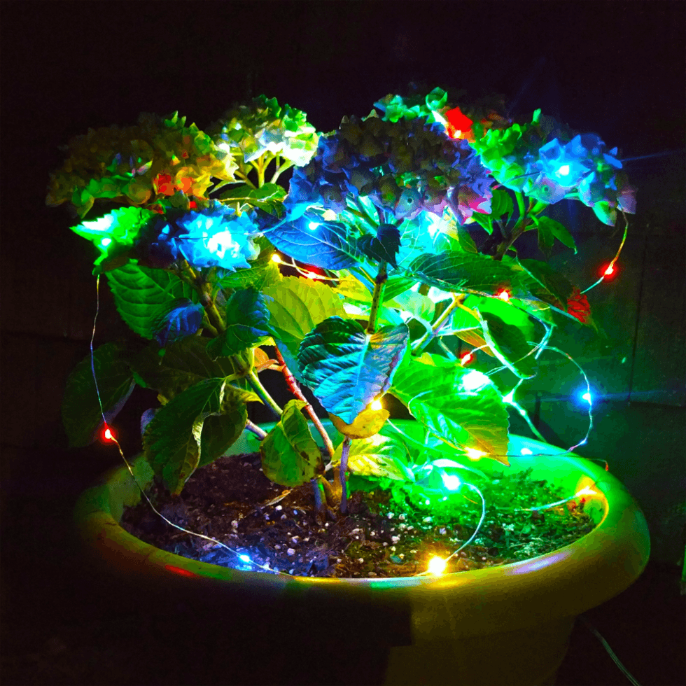 Solar Powered LED Fairy Lights - 33 Foot - Waterproof with 100 Multi ...