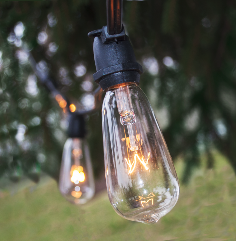 ST40 Clear Commercial String Light Sets with Black Wire - Hometown ...