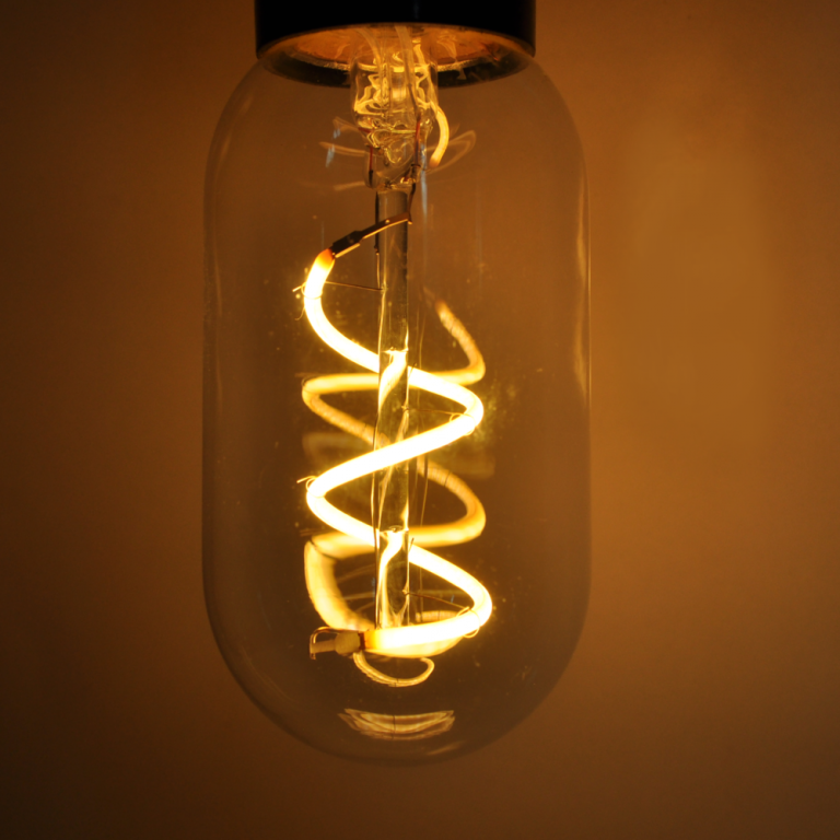 LED Edison Bulbs - Hometown Evolution Inc.