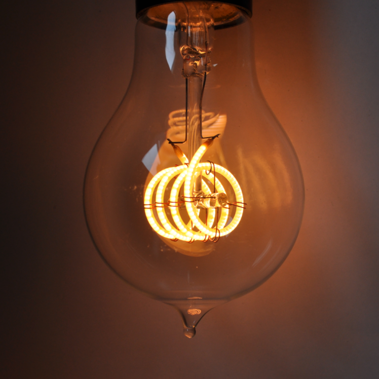 LED A19 Round Filament 3 Watt LED Light Bulb - Hometown Evolution Inc.