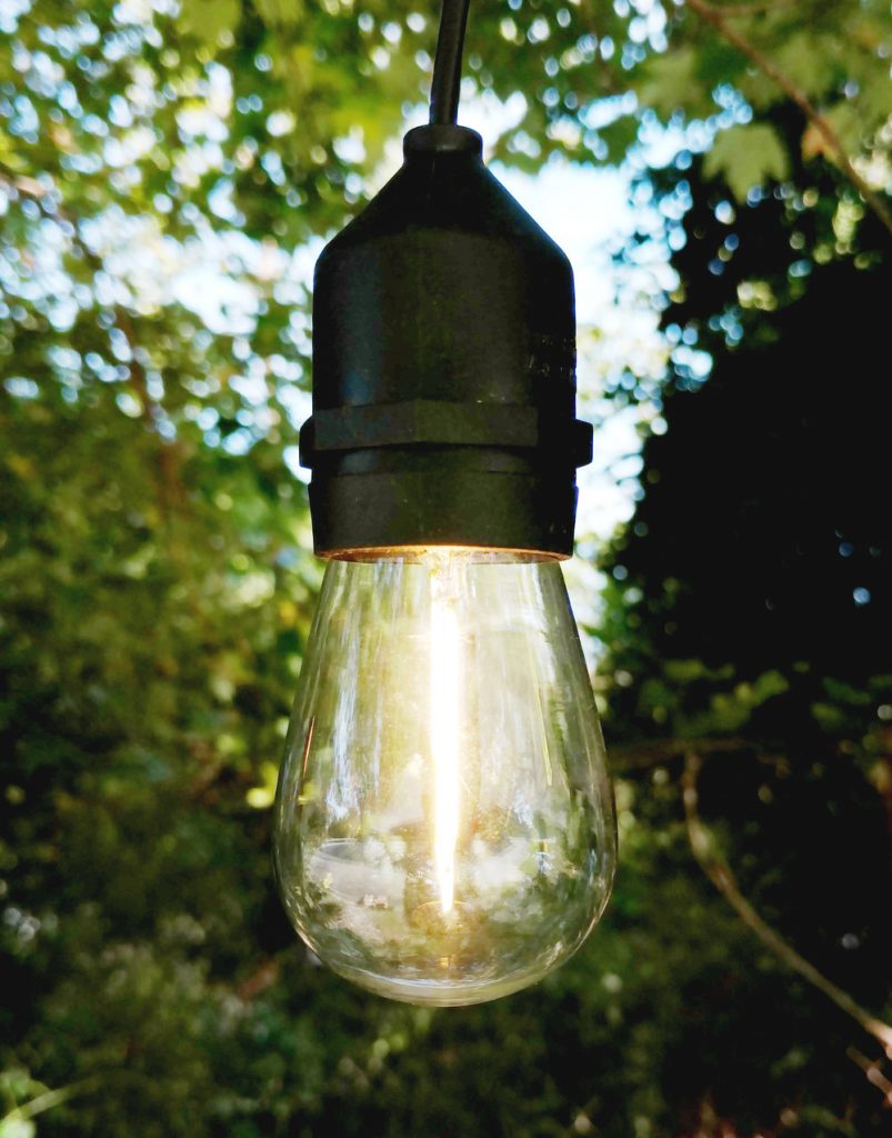 S14 LED Bulbs with 1-Watt Filament and E26 Base