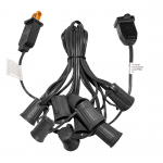 Black 10’ C7 Base Light Strand