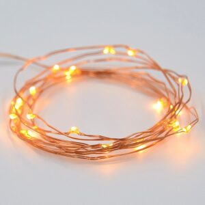 6 Foot - Battery Operated LED Fairy Lights - Waterproof with 20 Yellow ...