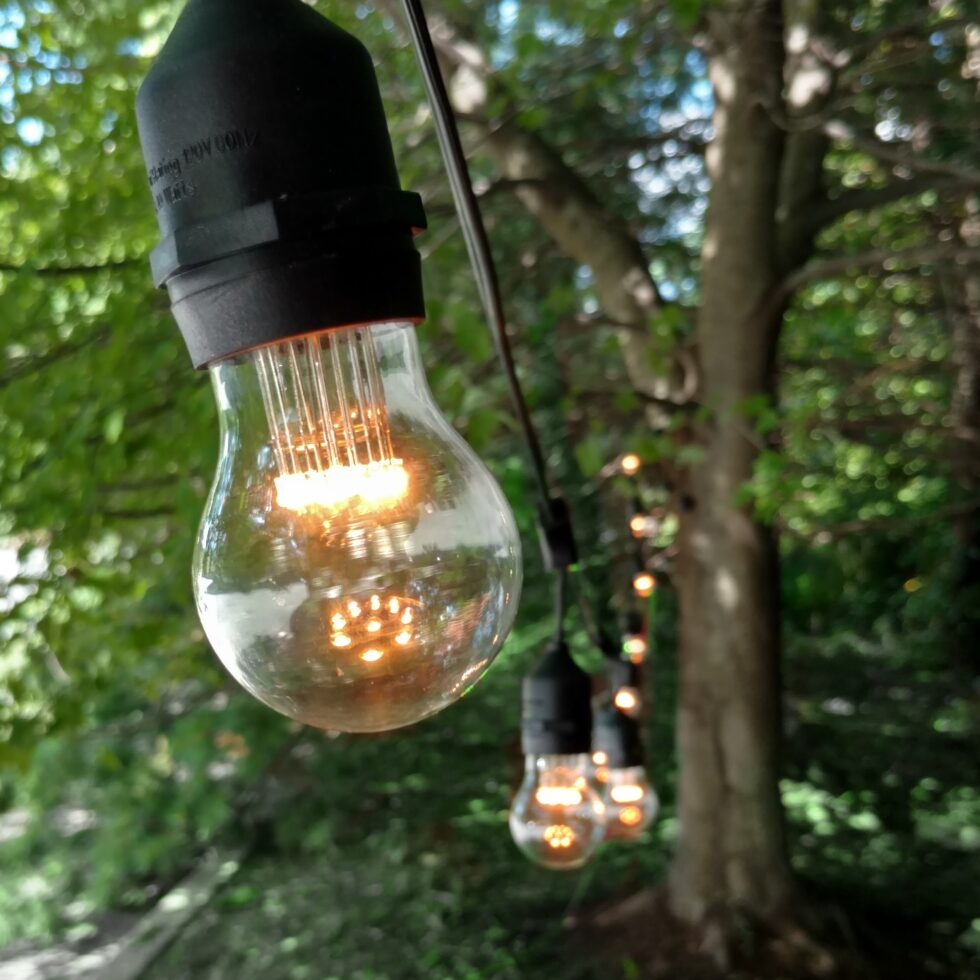 A15 LED 9 Diode 1-Watt E26 Base Light Bulbs