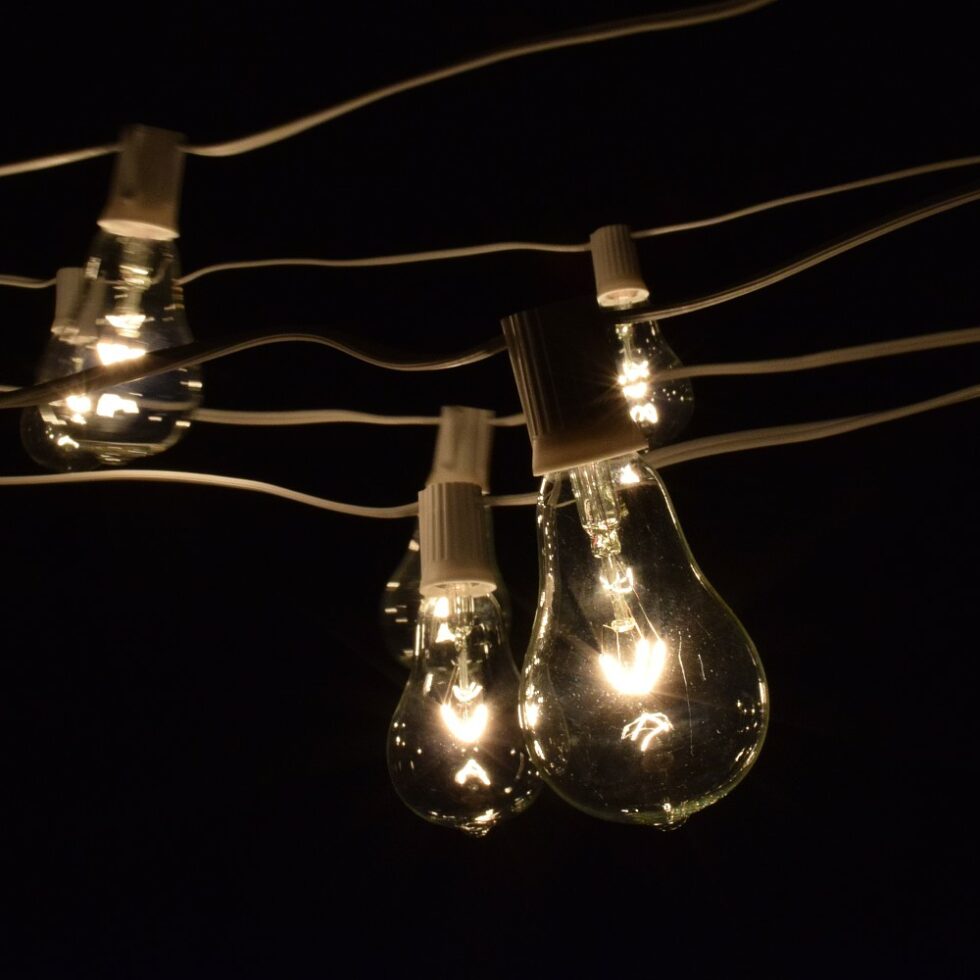 PS50 Clear String Light Sets with White wire - Hometown Evolution Inc.