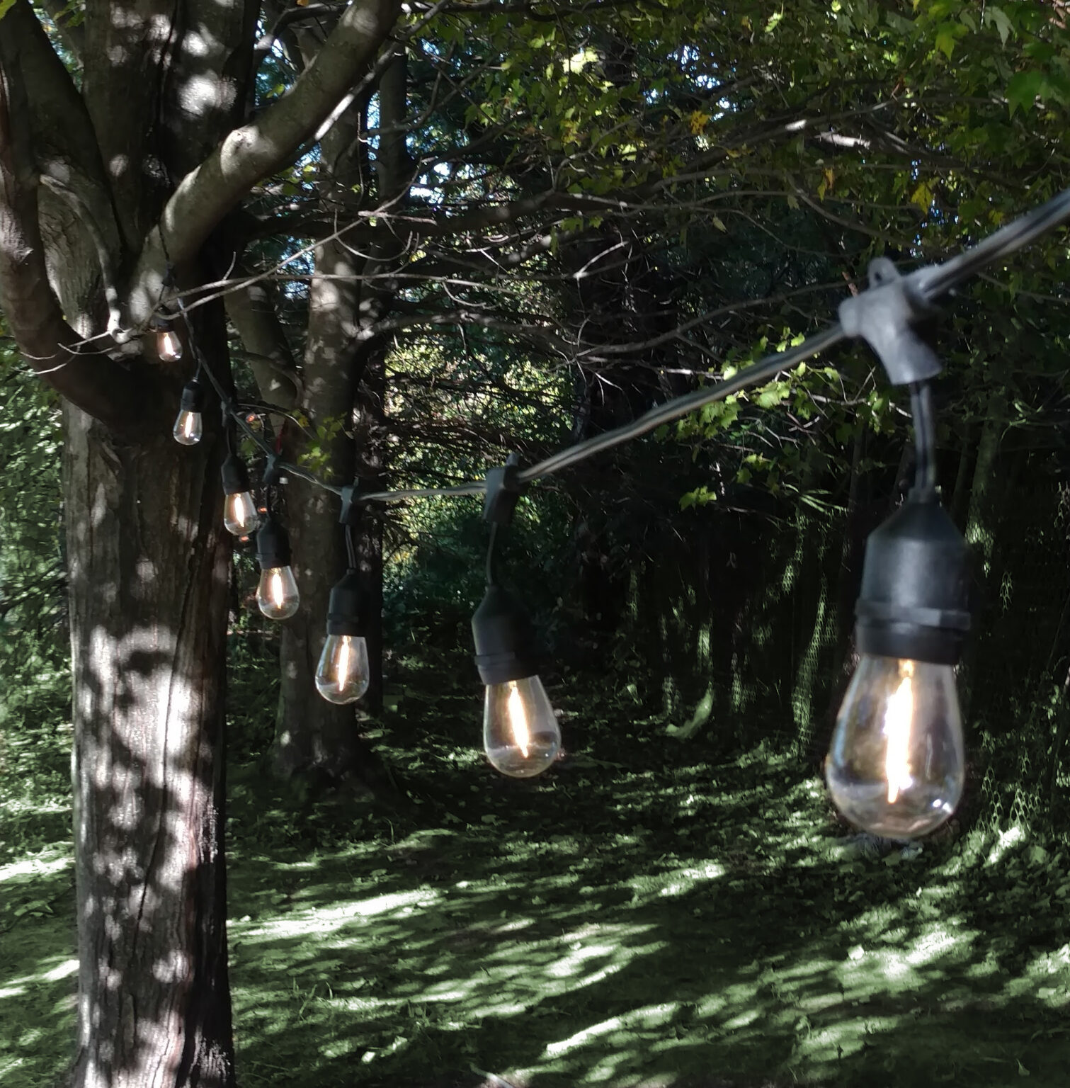 E26 Commercial LED String Lights with Suspended S14 LED Bulbs