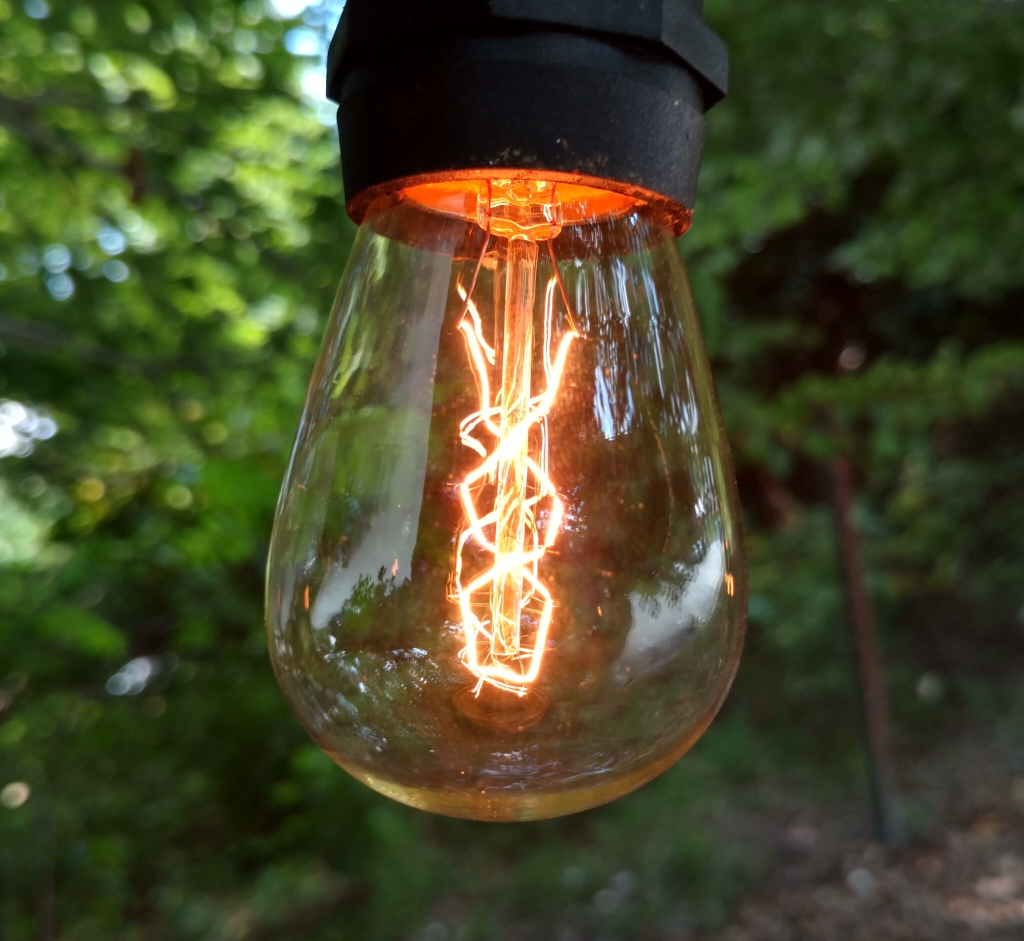 E26 Outdoor Edison Lights with S14 Zig Zag Bulbs and Black Wire