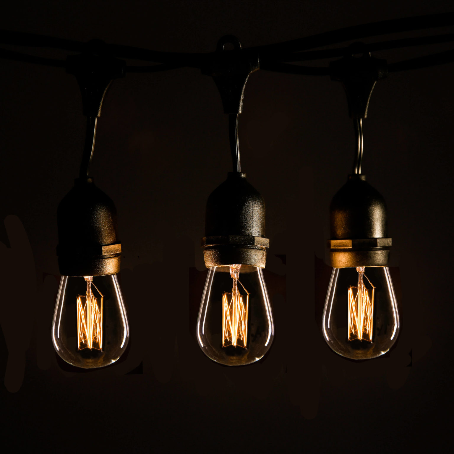 E26 Edison Outdoor Lights with S14 Lantern Bulbs and Black Wire