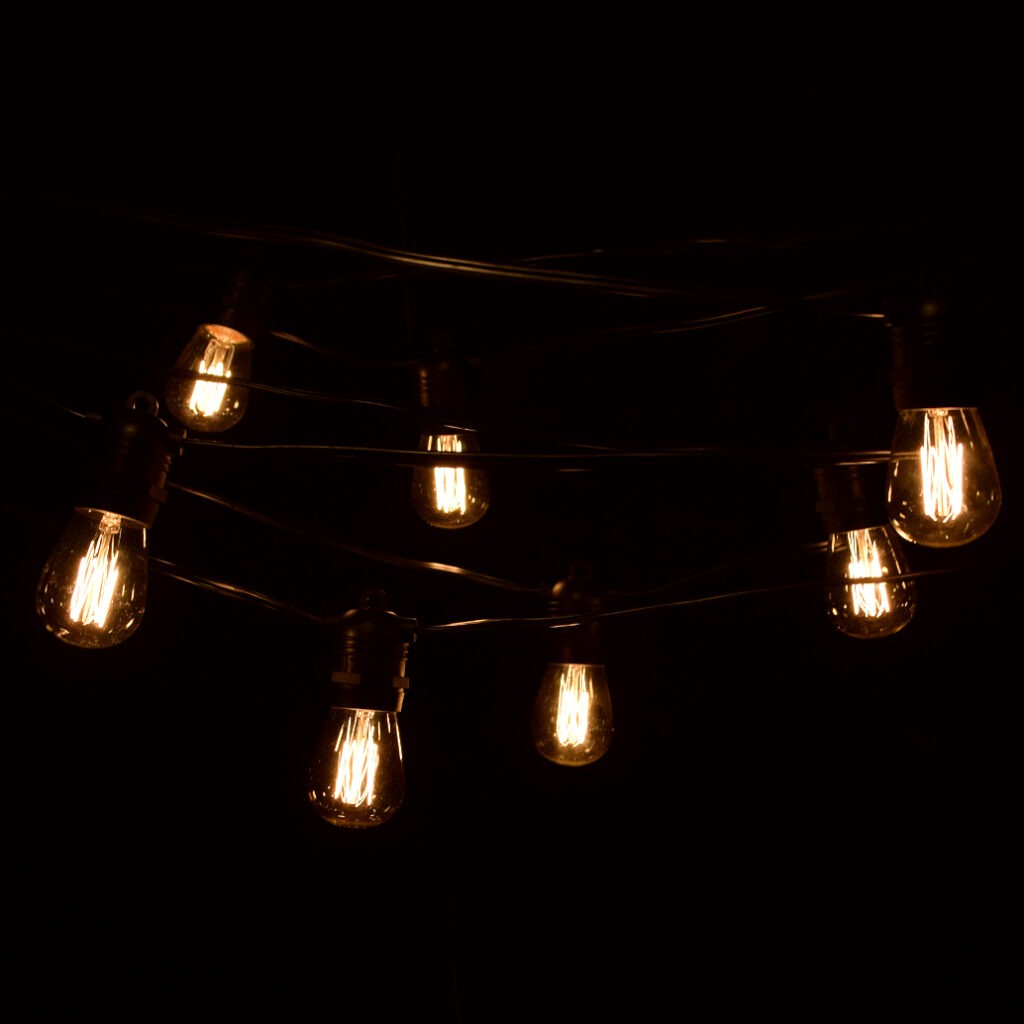 E26 Edison Bulb Lights with S14 Lantern Bulbs and Black Wire