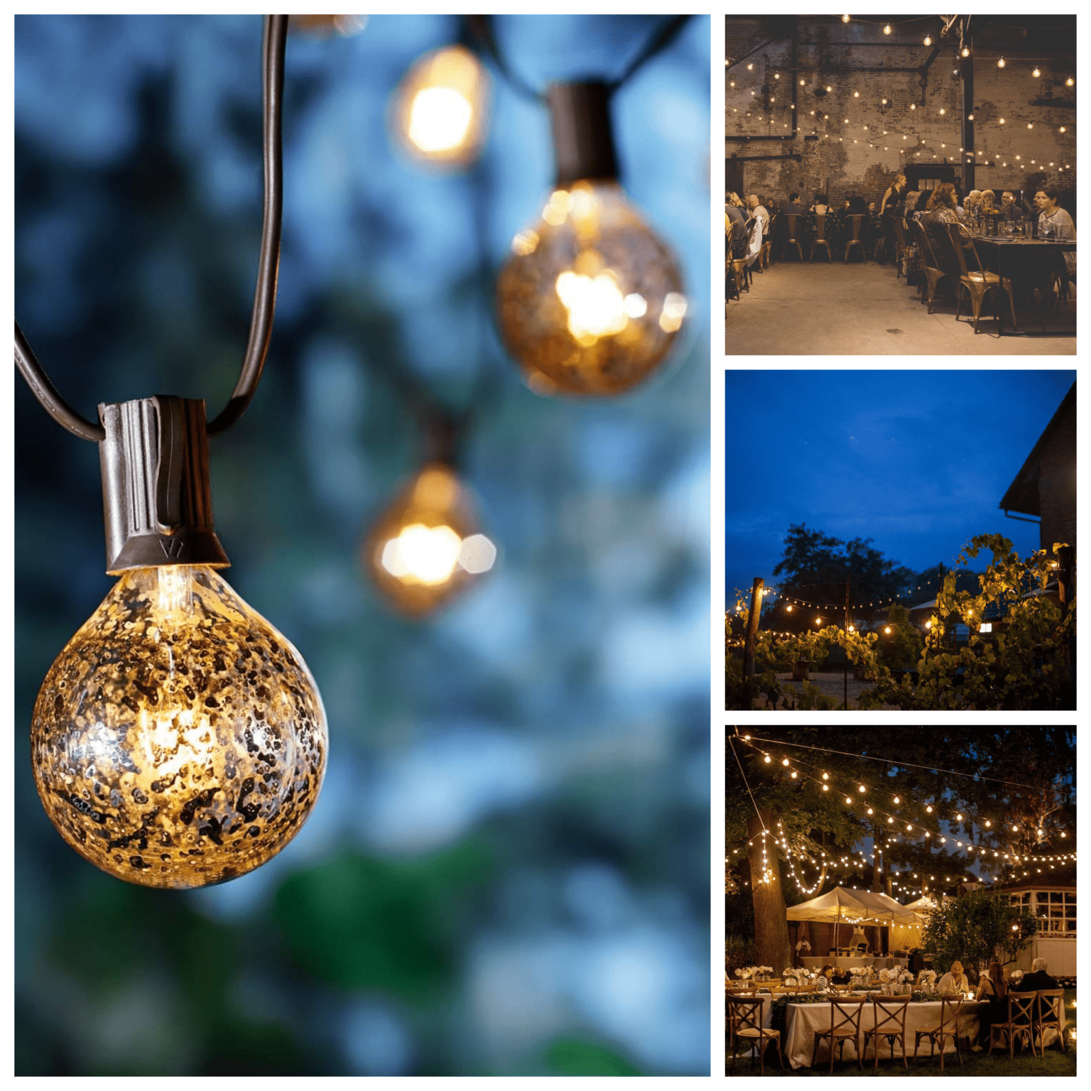 G40 Mercury Gold String Light Sets with Black Wire - Hometown Evolution ...