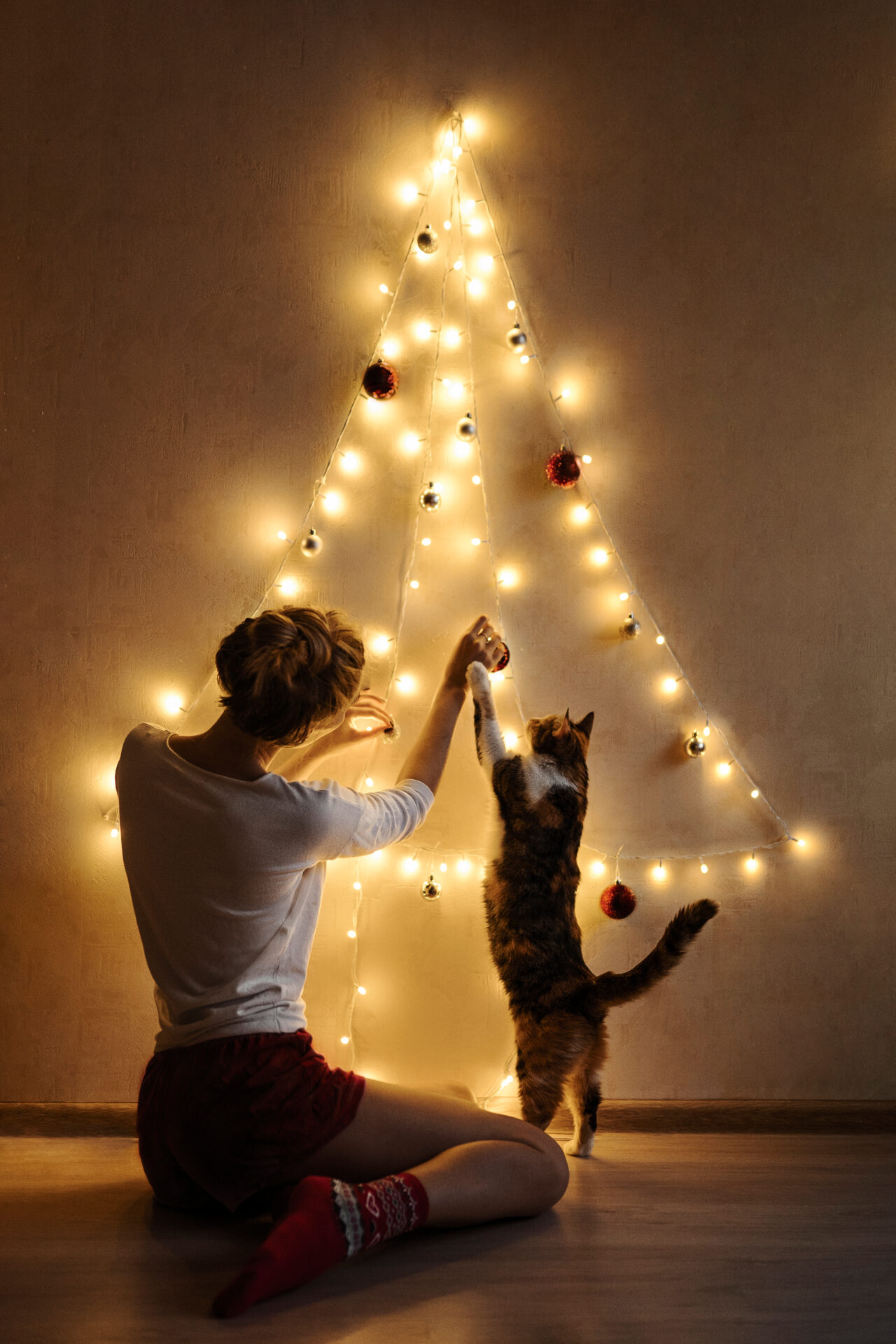 Illuminate your holidays with festive lighting! - Hometown Evolution Inc.