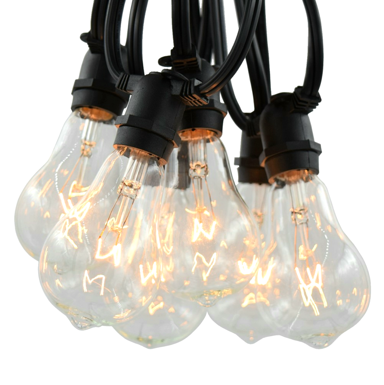 PS50 Clear Commercial String Light Sets with Black Wire - Hometown ...
