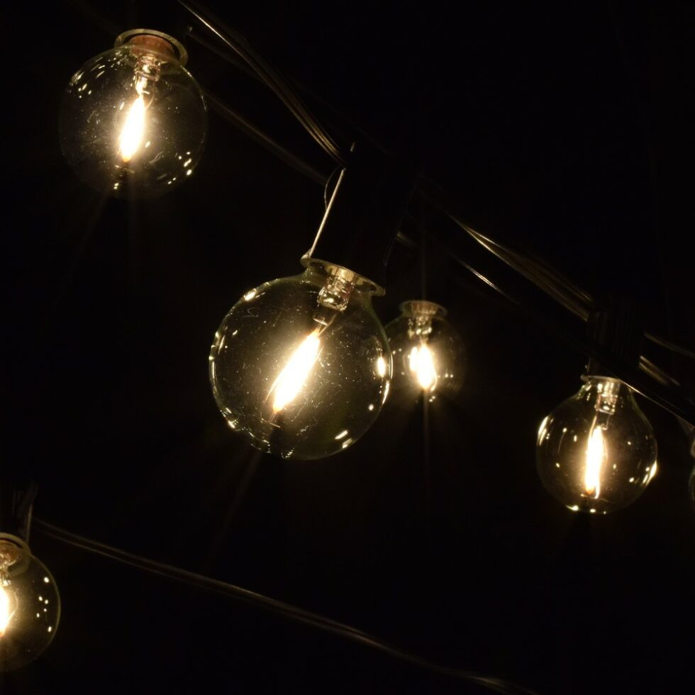 G40 Filament LED String Lights Outdoor with Black Wire