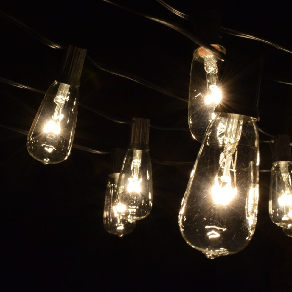 ST40 Clear String Light Sets with Black Wire - Hometown Evolution Inc.