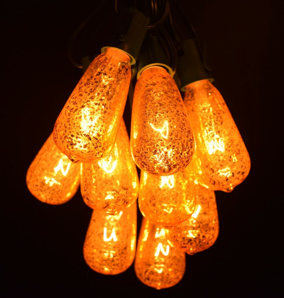 ST40 Mercury Gold String Light Sets with Green Wire - Hometown ...